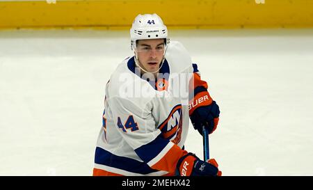 New York Islanders center Jean-Gabriel Pageau (44) celebrates his goal ...