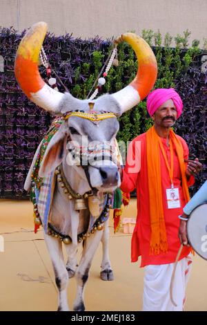 21 December 2022, Bhimthadi Jatra, Pune, India, It is about the ...