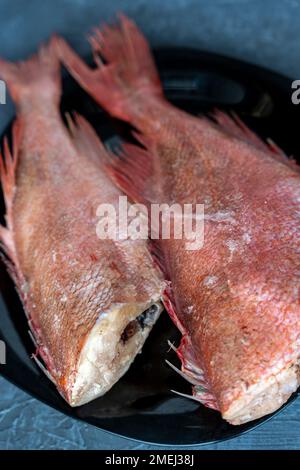 Two frozen headless carcasses of red sea bass Stock Photo - Alamy