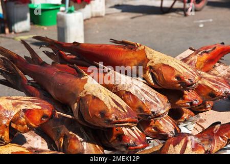 Some fish in Albert market in Banjul, Gambia, West Africa Stock Photo ...