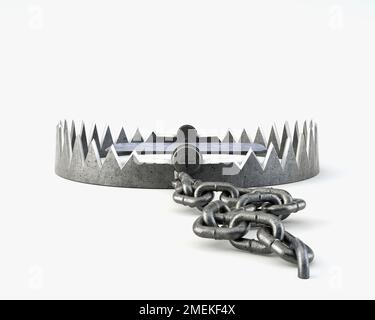 An open metal animal hunting trap attached to the ground with a metal ...