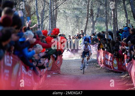 Pidcock Thomas (IGD - Cyclo Cross World Cup) in action during the UCI ...