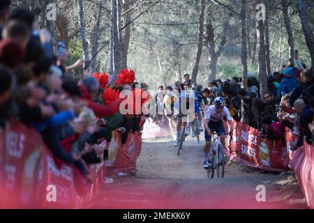Pidcock Thomas (IGD - Cyclo Cross World Cup) in action during the UCI ...