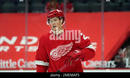 Detroit Red Wings defenseman Gustav Lindstrom plays during the second ...