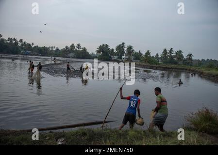 People fish at a tidal swamp after water is drained at the end of prawn ...