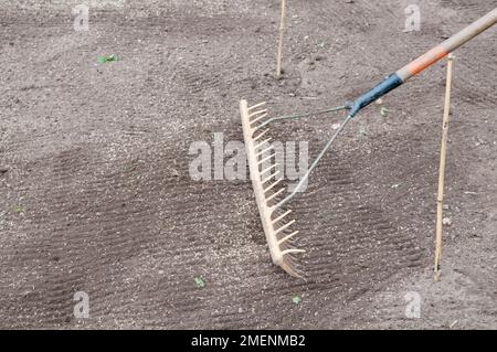 Raking grass seed into prepared lawn base Stock Photo - Alamy