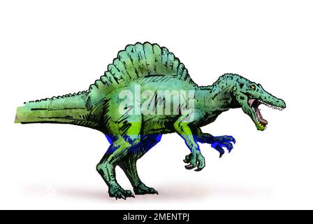Spinosaurus dinosaur, side view Stock Photo - Alamy