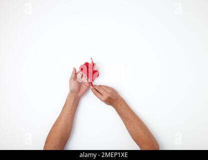 Turk's Head - Four-Lead Five-Bight, a decorative knot tied in red rope ...