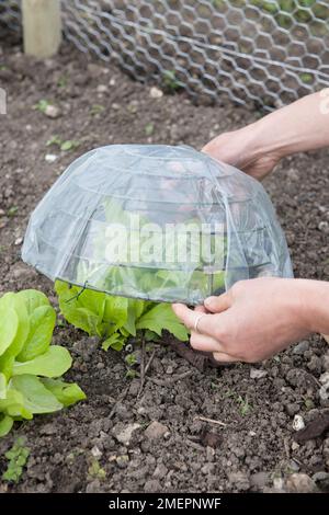 Close up of Close up of hand making basket of cane, Bamboo Basket maker ...