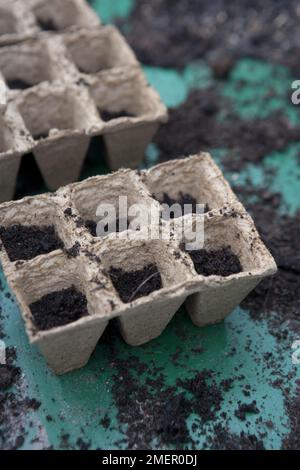 Seed tray module for sowing seeds isolated on white background ...