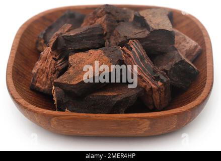 Edible black catechu extracted from acacia trees Stock Photo - Alamy