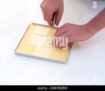 Fondant icing shapes, cake decorations Stock Photo - Alamy