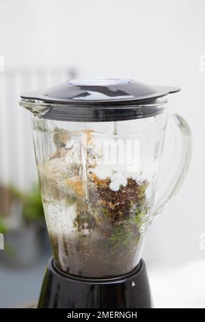 Moss And Buttermilk