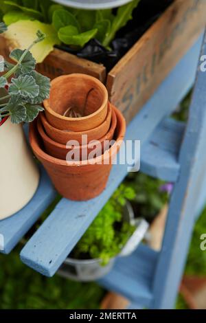 Pot plant on step ladder planter Stock Photo - Alamy