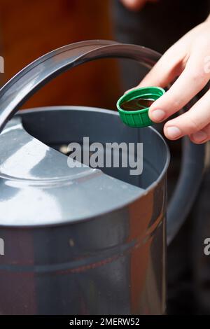 Diluting liquid fertilizer into watering can Stock Photo - Alamy