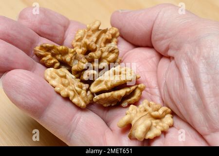 A handful of persian walnuts (Juglans regia Stock Photo - Alamy