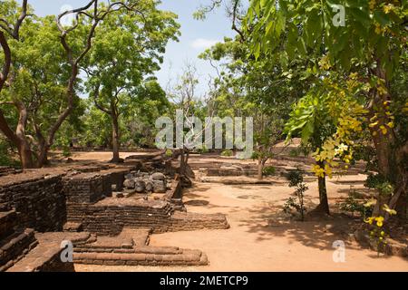 Kimbissa, Sigiriya, Southern Province, Sri Lanka Stock Photo - Alamy