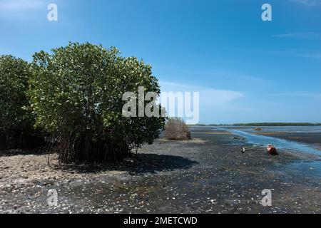 North Eastern Province, Pothuvil, Pottuvil Lagoon, Sri Lanka Stock ...
