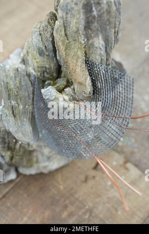 Penjing Rock Planting, Attaching copper fixing wires to the rock ...