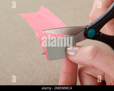 Papercraft. DIY Paper Blossom, cutting crepe paper to size for center ...