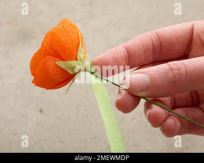 Papercraft. DIY Paper Ranunculus wrapping the stem Stock Photo - Alamy
