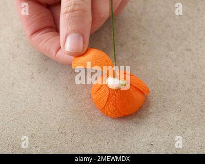 Papercraft. DIY Paper Ranunculus, adding petals Stock Photo - Alamy
