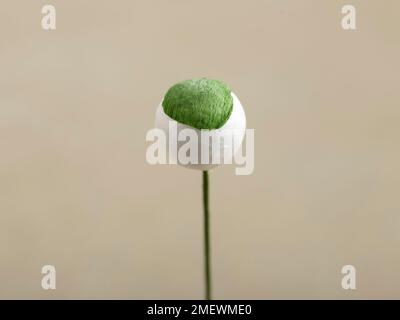Papercraft. DIY Paper Ranunculus, petals added to polystyrene base ...
