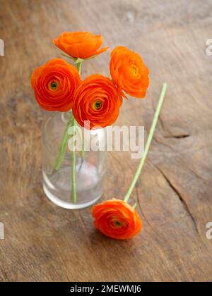 Papercraft. DIY Paper Ranunculus in glass bottle on suitcase with blue ...