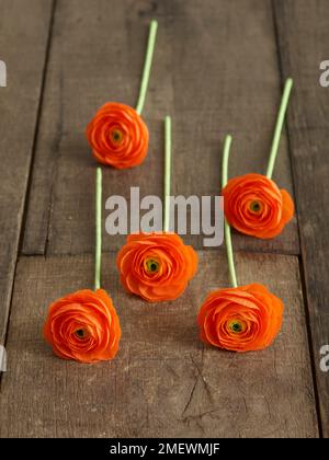 Papercraft. DIY Paper Ranunculus lying on wood background Stock Photo ...