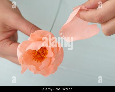 Papercraft Peony steps Stock Photo - Alamy
