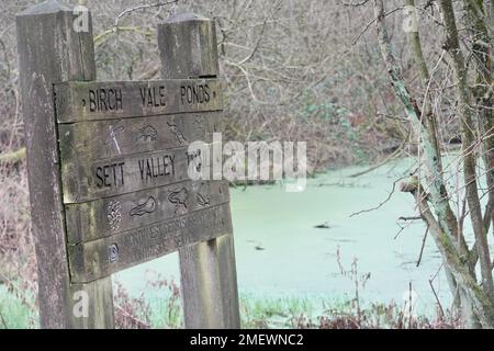 Rancid water in a Birch Vale pond Stock Photo - Alamy