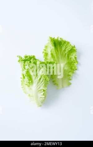 Green Batavia lettuce leaves on wooden background. Ready for cooking ...