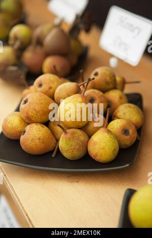 Pear varieties on display at a village fair Stock Photo - Alamy