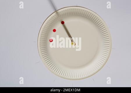 Creating a homemade sundial with a pencil and a paper plate Stock Photo ...