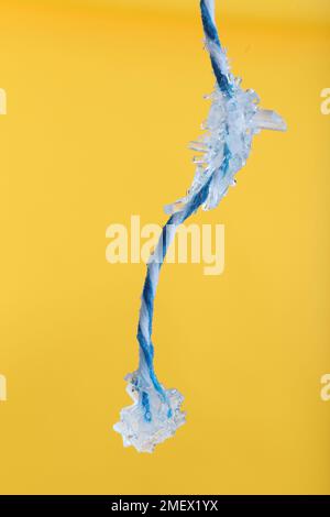 Salt crystals growing on string Stock Photo - Alamy
