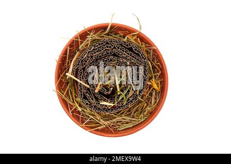DIY bee houses - Coil of cardboard and hay Stock Photo - Alamy
