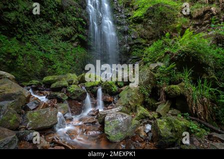 Waterfall of Belaustegi beech forest, Gorbea Natural Park, Vizcaya ...