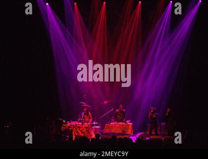 Shabazz Palaces in concert from the Hammerstein Ballroom in New York ...