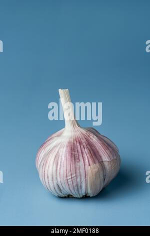 garlic bulb against blue background Stock Photo - Alamy