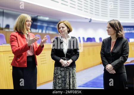 Strasbourg, Frankreich. 24th Jan, 2023. Annalena Baerbock (Alliance 90 ...