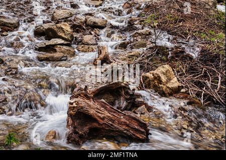 a waterfall inside Val san Nicolò during a summer season, Pozza di ...