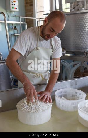 Man making cheese at Fior di Montalcino cheese farm in Tuscany, Italy ...