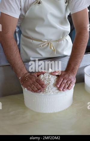 Man making cheese at Fior di Montalcino cheese farm in Tuscany, Italy ...