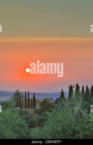 Cypress trees under the Tuscan sunset in summer, Italy Stock Photo - Alamy