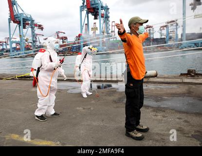 Members of Indonesia Red Cross spray disinfectant in an attempt to help ...