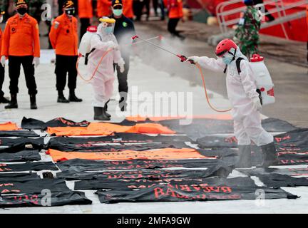 Members of Indonesia Red Cross spray disinfectant in an attempt to help ...