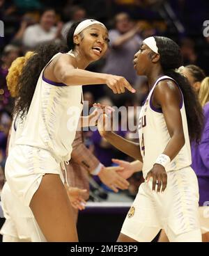 LSU forward Angel Reese (10) celebrates with fansafter LSU defeated ...