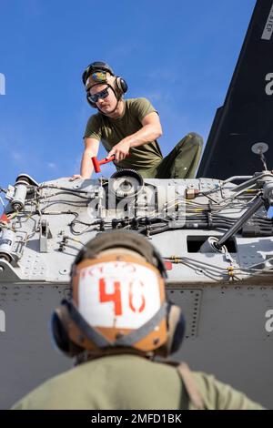 Marine mechanics conduct maintenance on helicopters during the Vietnam ...