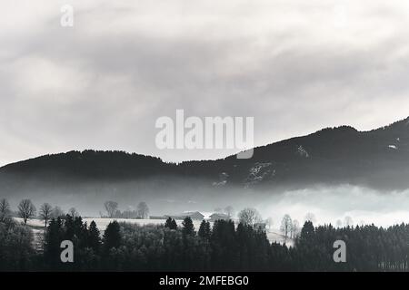 A grayscale of a beautiful landscape with mountains and forests Stock ...