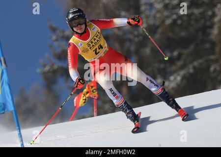Switzerland's Andrea Ellenberger speeds down the course during an ...